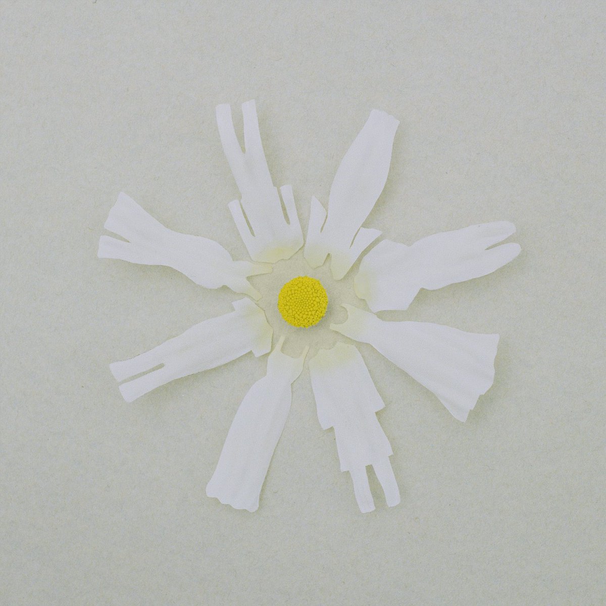 6/15(水)11th Single「恋だろ / 僕らの一歩」リリース！ | wacci - ワッチ 公式ウェブサイト