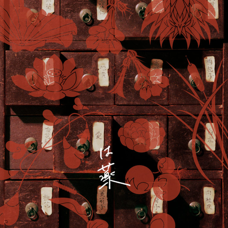 新曲「愛は薬」TVアニメ『薬屋のひとりごと』第2クールEDに決定！さらに1/7(日)先行配信スタート＆2/21(水)シングルリリース！ | wacci - ワッチ 公式ウェブサイト